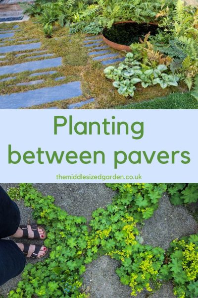 Garden path materials - the good, the bad and the beautiful - The ...