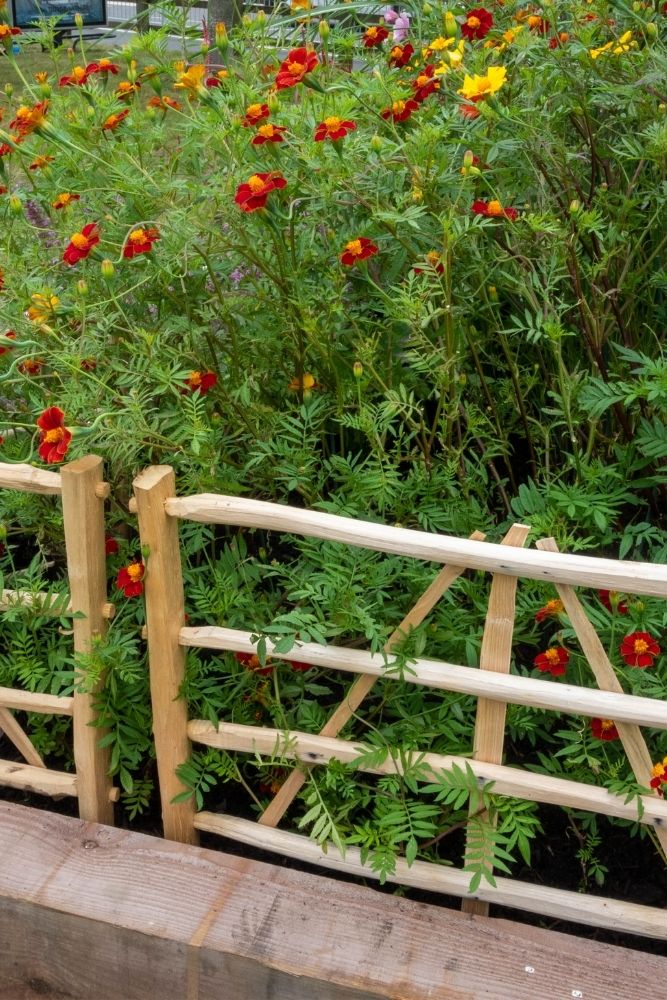 10 of the best new garden ideas from BBC Gardeners World Live - The ...