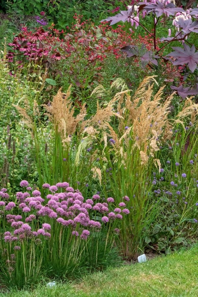 What you need to know to create an outstanding perennial border - The ...