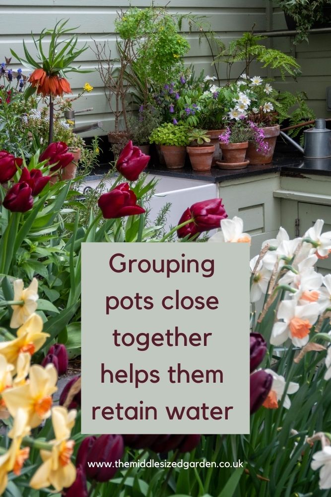 How to group pots - plus practical tips for fabulous container planting ...