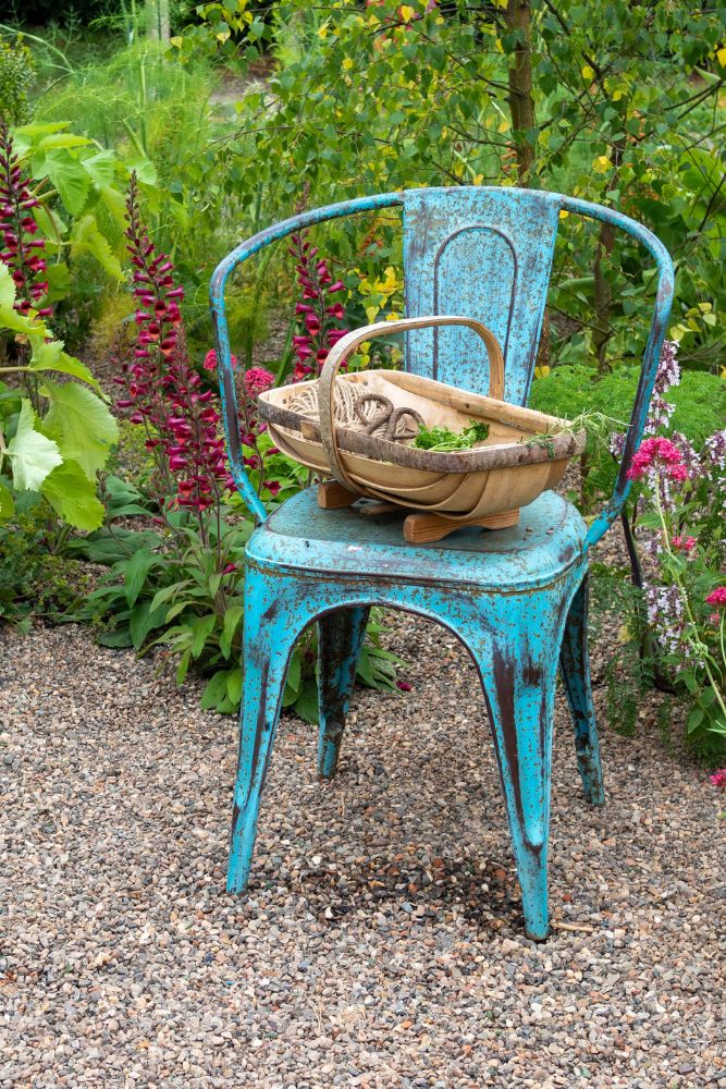 How to make a pretty garden on a budget - ideas from BBC Gardeners ...