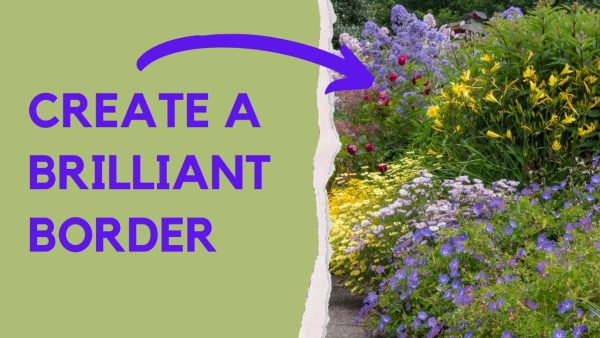 Brilliant garden border inspiration - how to choose colours, shapes ...