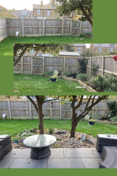 How to turn a wide shallow backyard into the perfect garden - The ...