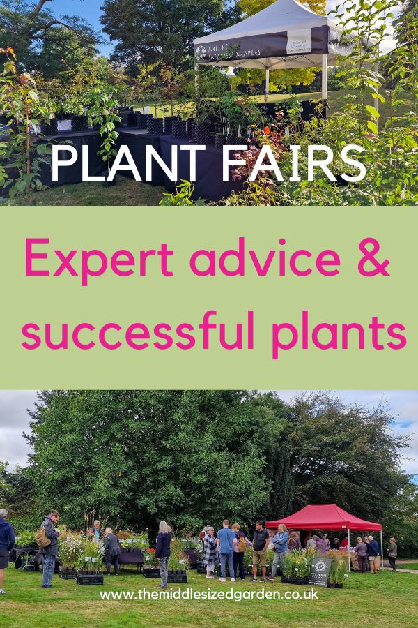 10 top autumn garden tips and plants - The Middle-Sized Garden ...
