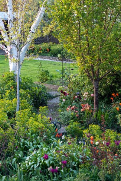 Top tips for trees - what you really need to know before you prune your ...