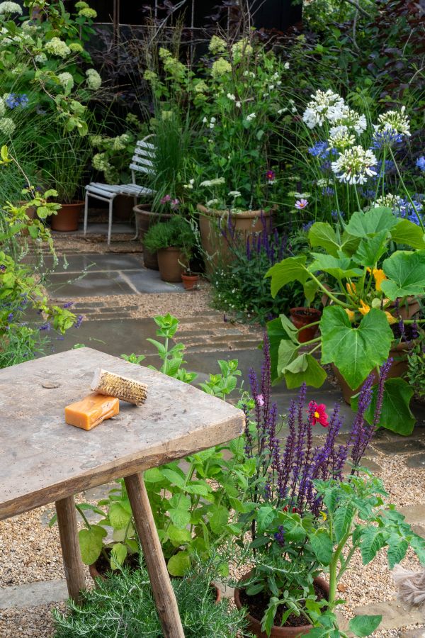 10 top 'real garden' trends from RHS Hampton Court 2024 - The Middle ...