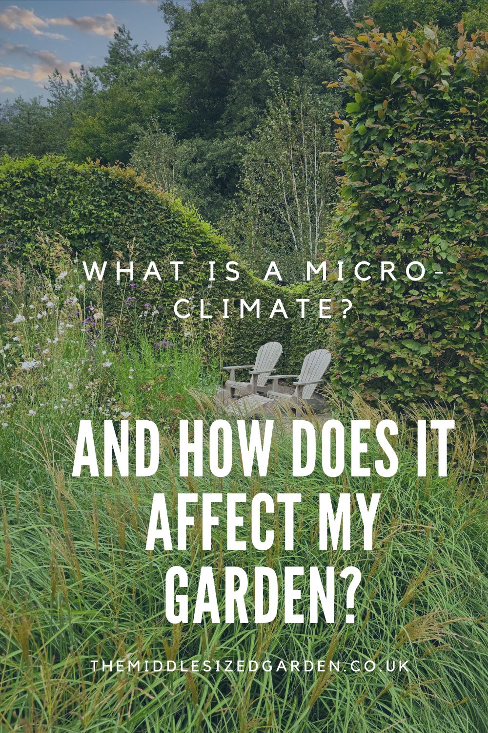 Right plant, wrong place? How to create your ideal garden micro-climate ...