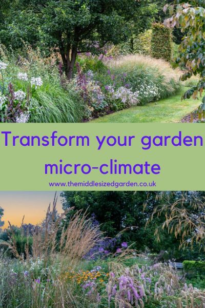 Right plant, wrong place? How to create your ideal garden micro-climate ...