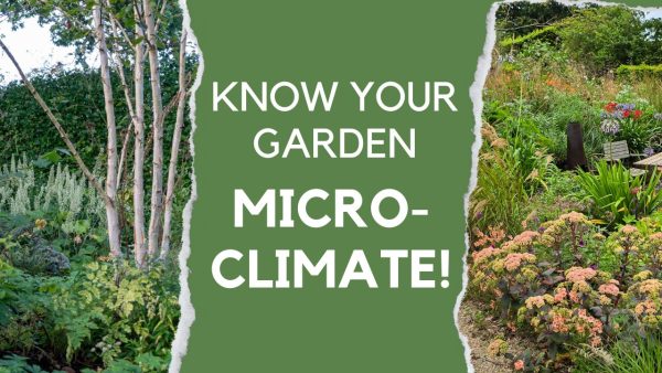 Right plant, wrong place? How to create your ideal garden micro-climate ...