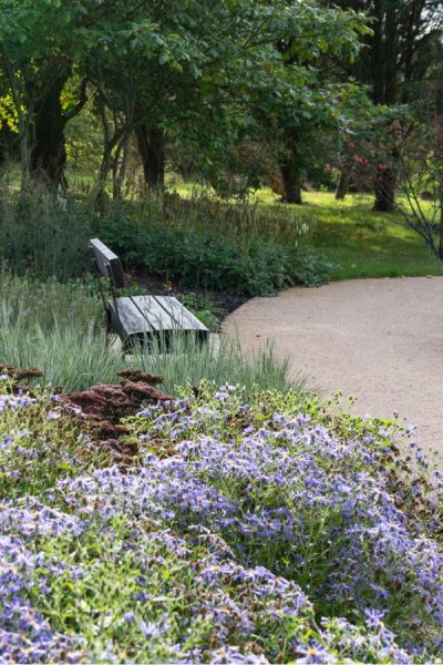 5 lessons in planting style from the new Oudolf borders at RHS Wisley ...