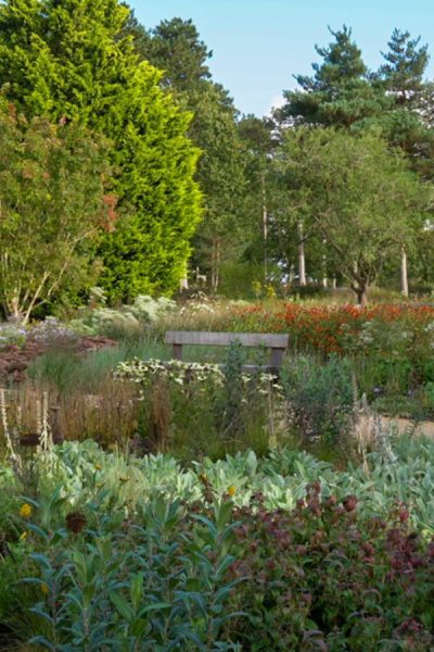 5 lessons in planting style from the new Oudolf borders at RHS Wisley ...