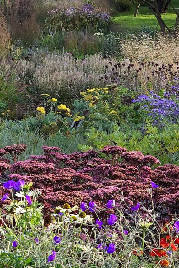 5 lessons in planting style from the new Oudolf borders at RHS Wisley ...