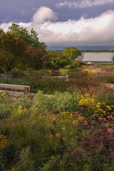 5 lessons in planting style from the new Oudolf borders at RHS Wisley ...