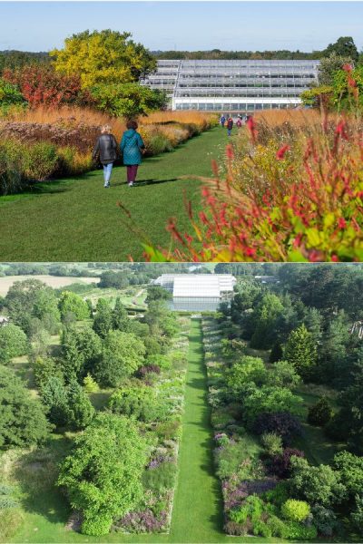 5 lessons in planting style from the new Oudolf borders at RHS Wisley ...