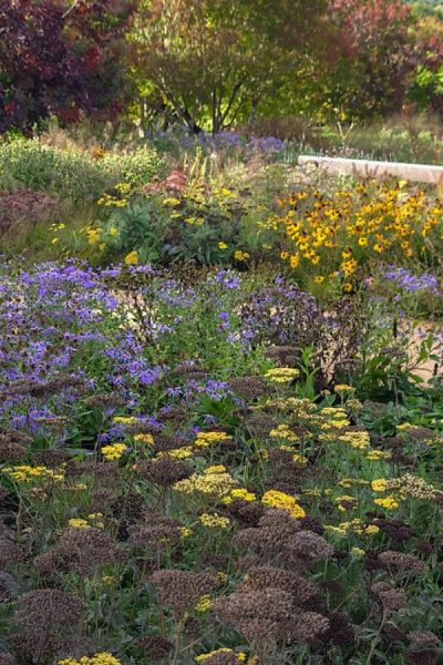 5 lessons in planting style from the new Oudolf borders at RHS Wisley ...