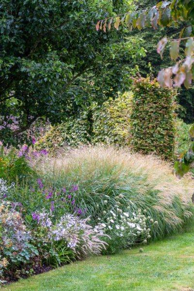 7 brilliant ornamental grasses to give your border light and movement ...