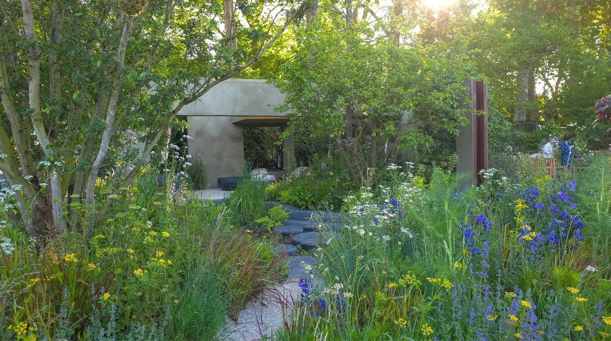Best New Garden Ideas - What RHS Chelsea 2026 Actually Means for Your ...