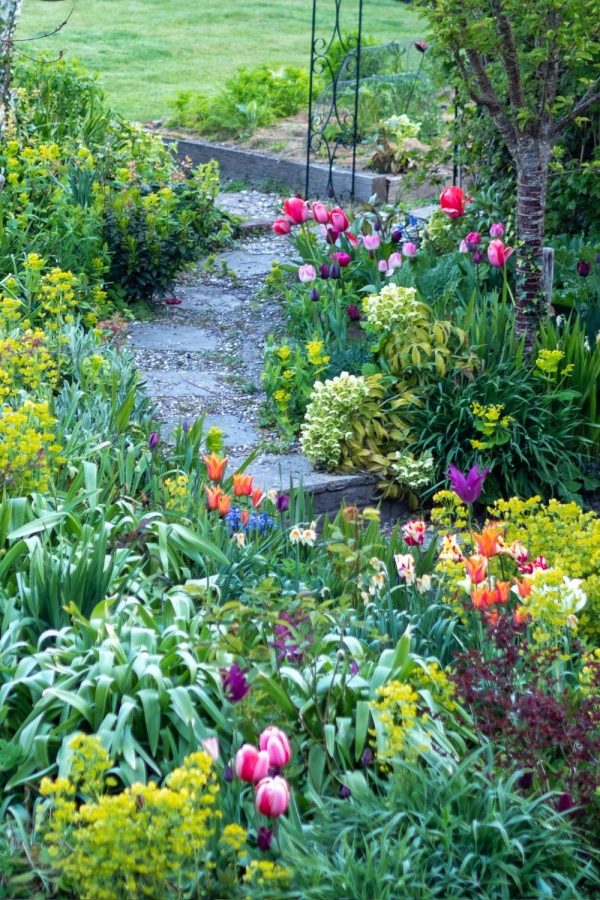 Garden style & living Archives - The Middle-Sized Garden | Gardening Blog